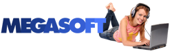 MEGASOFT NewsMail | Software. Solutions. Service.